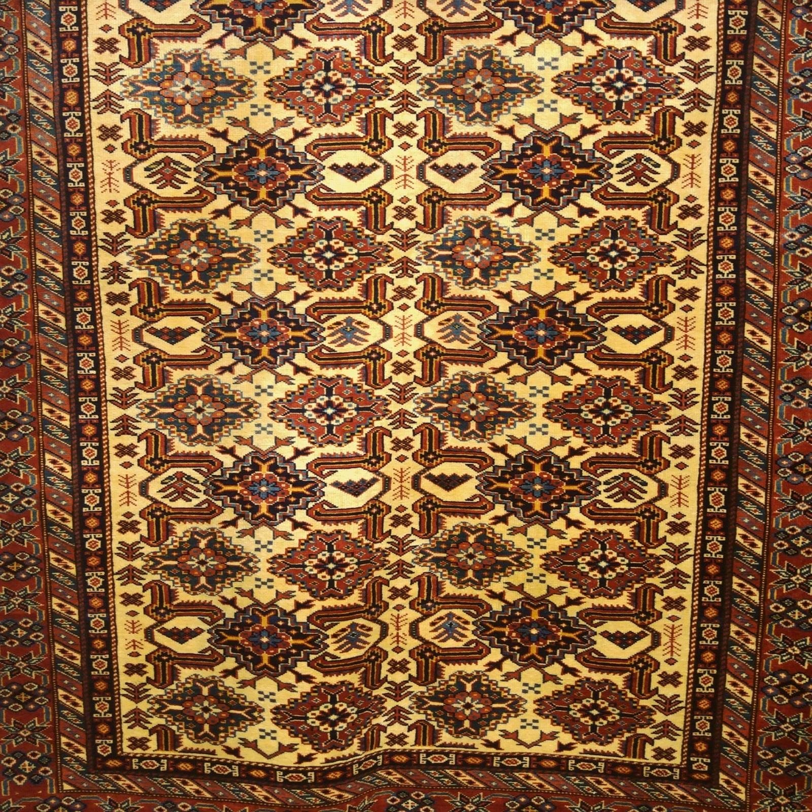 Traditional Shirvan Rug (151x204cm) - Queenstreet Carpets & Furnishings